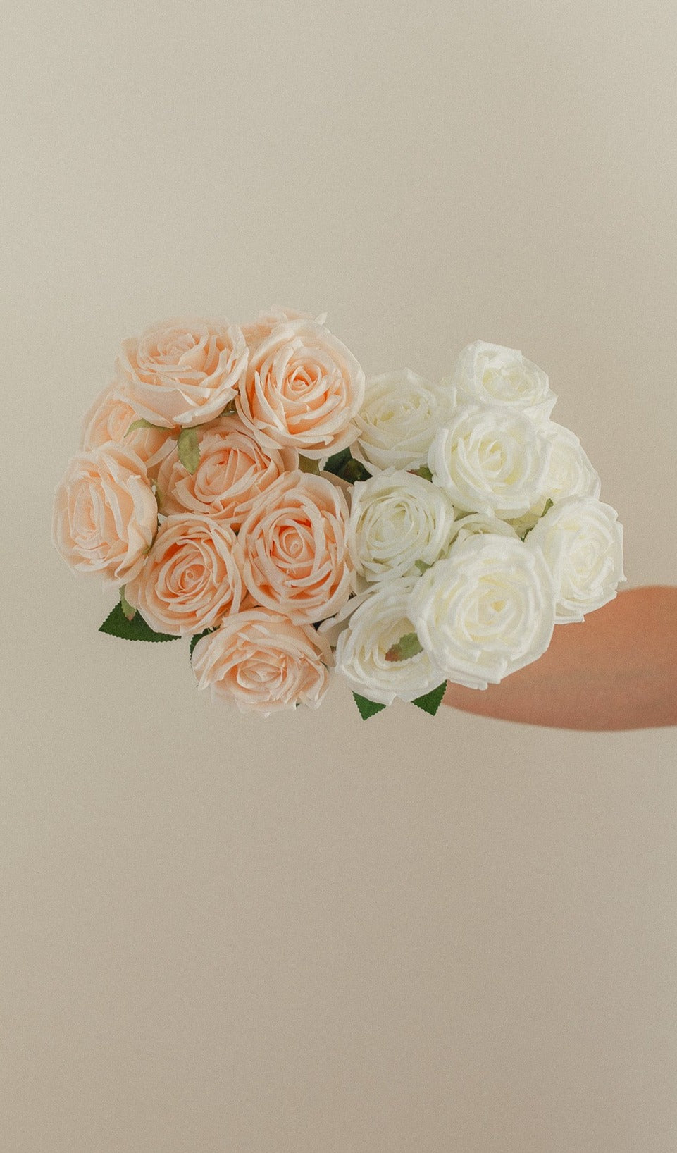 Pix Of Roses