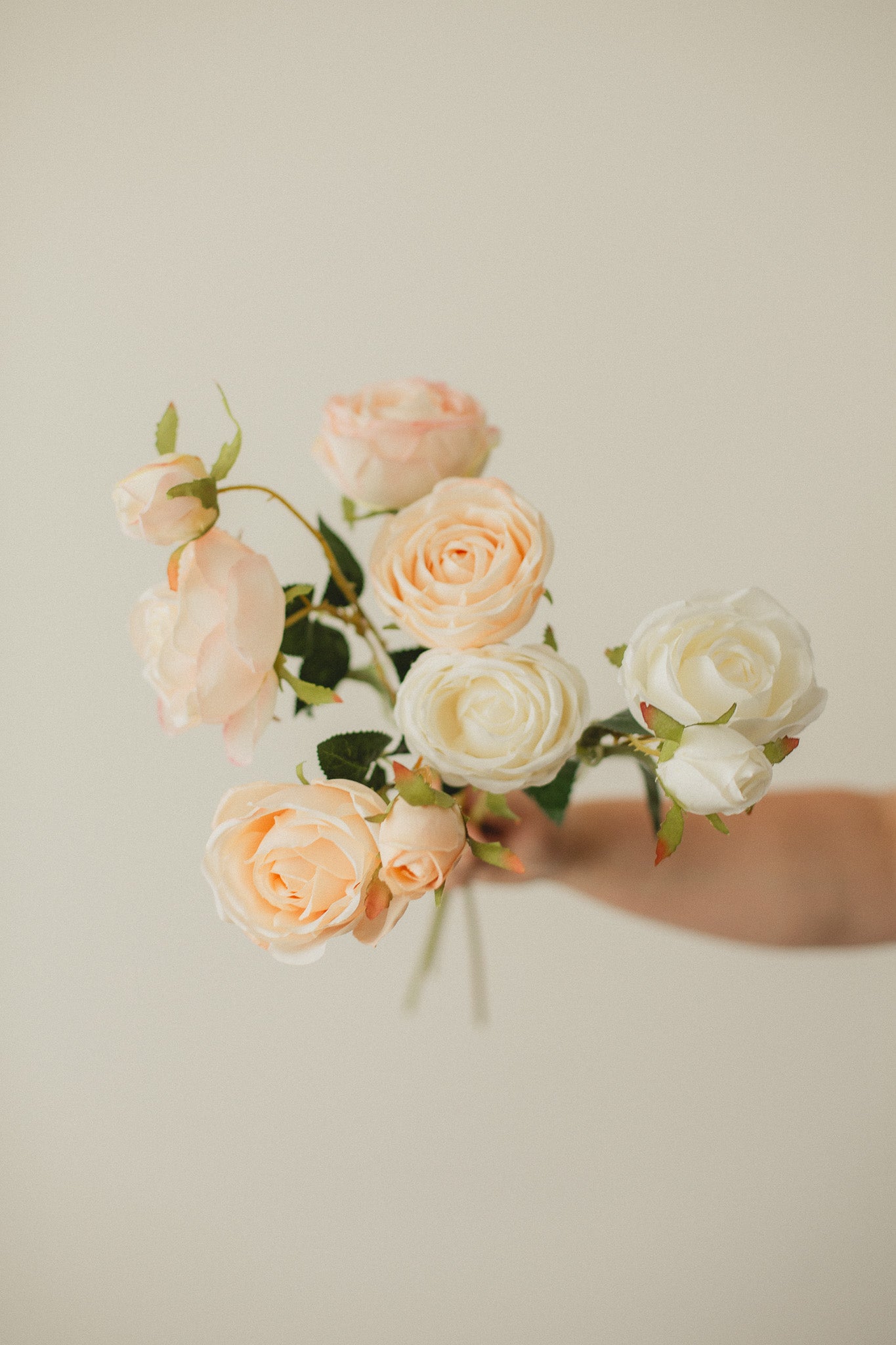 Italian Rose – Eucalypt Co.